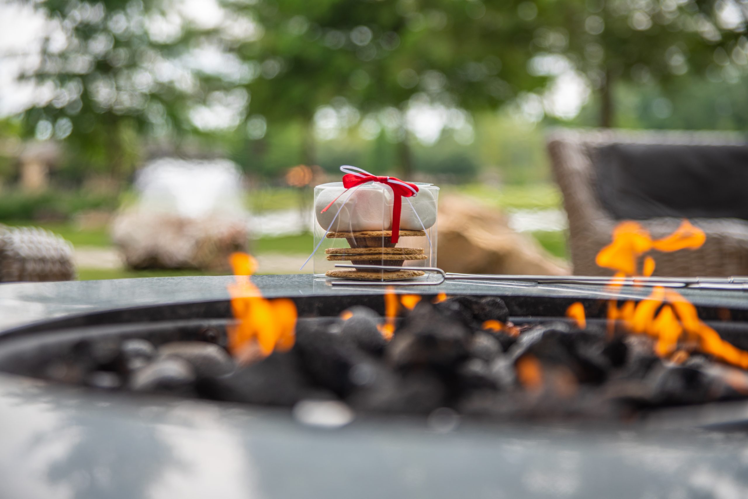 S'mores Under The Stars